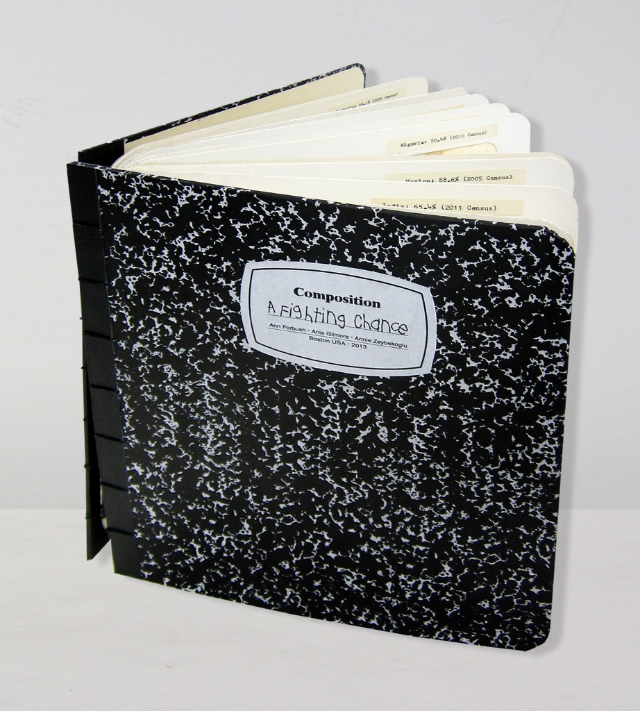 Ann Forbush, Ania Gilmore and Annie Zeybekoglu, "A Fighting Chance ...