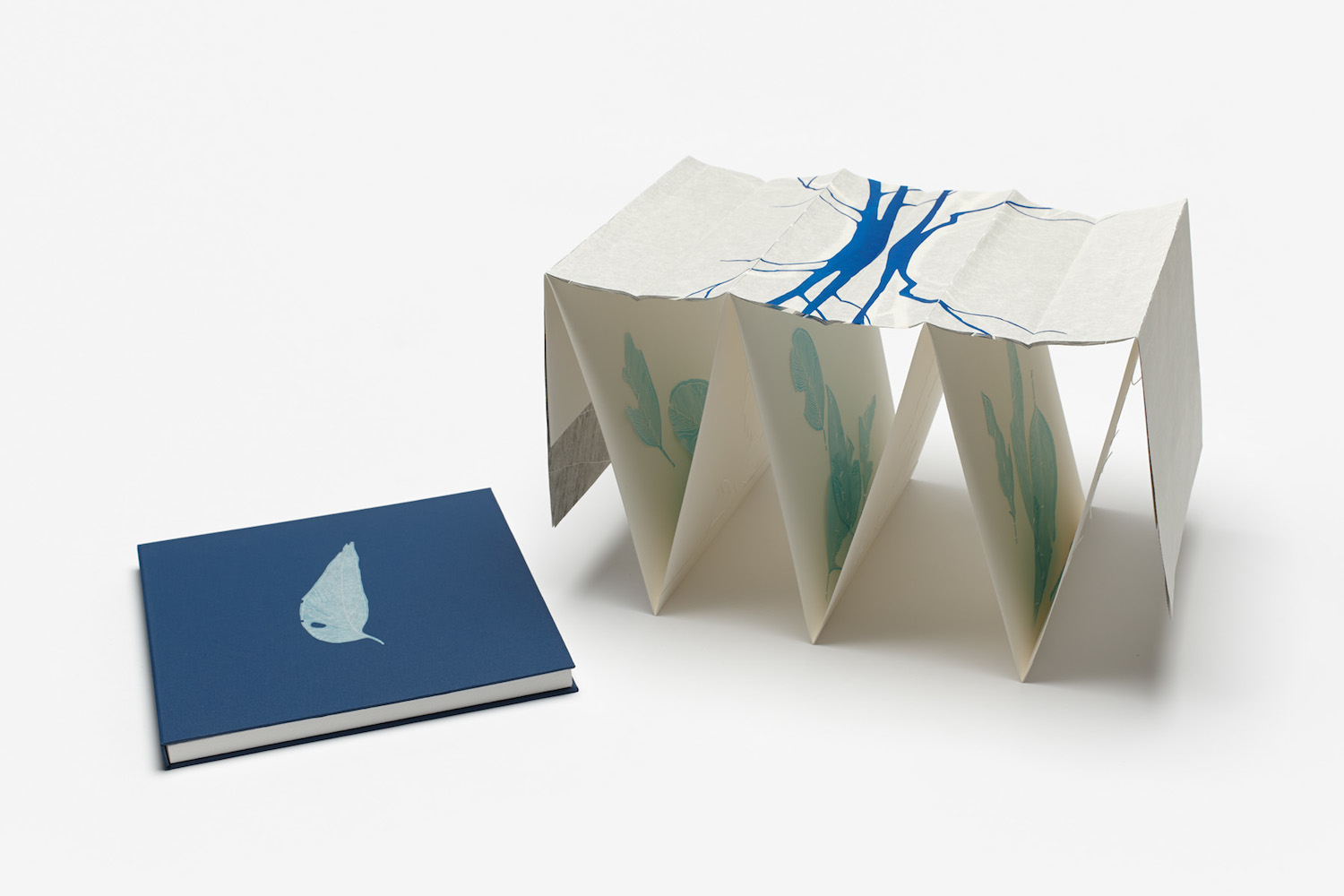 Elizabeth Banfield, "On Reflection (The Forest of Ambiguity)" - The ...