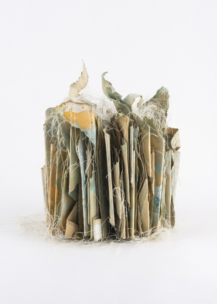 Rose Rigley, "Lost Memories" - The MCBA Prize