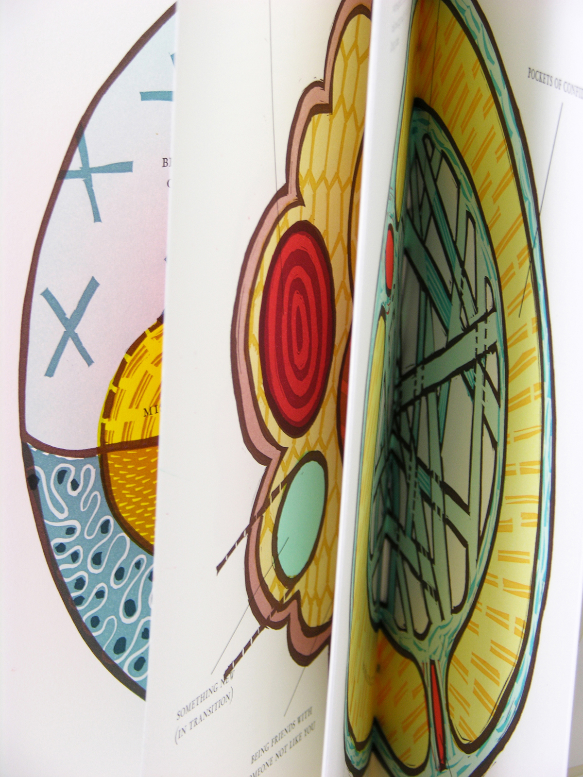 Ellen Knudson, "Made Up" - The MCBA Prize