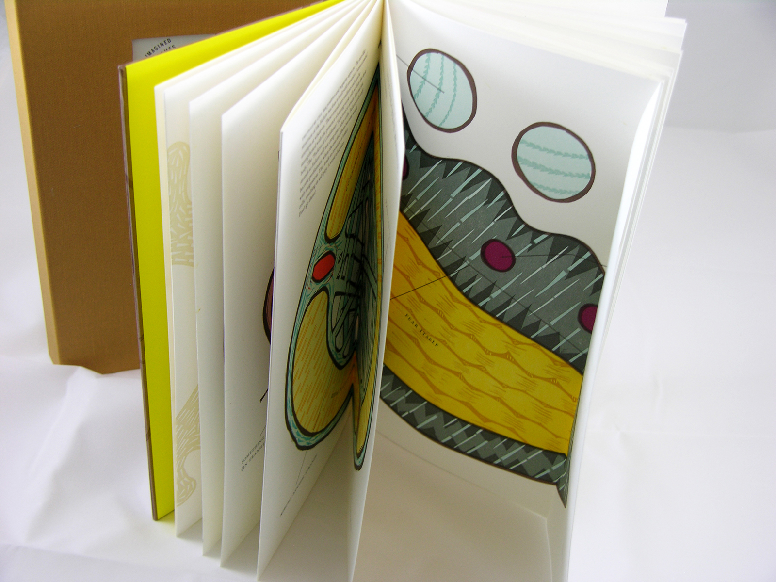 Ellen Knudson, "Made Up" - The MCBA Prize