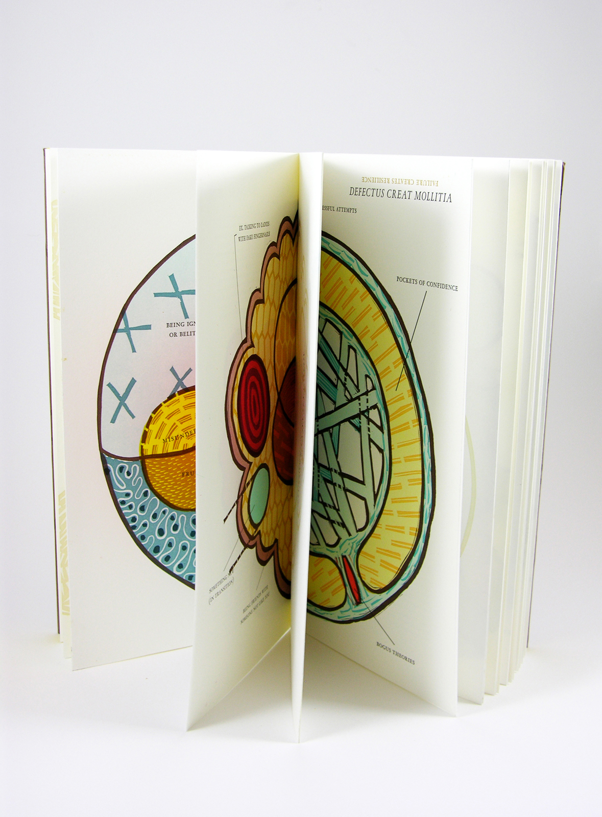 Ellen Knudson, "Made Up" - The MCBA Prize