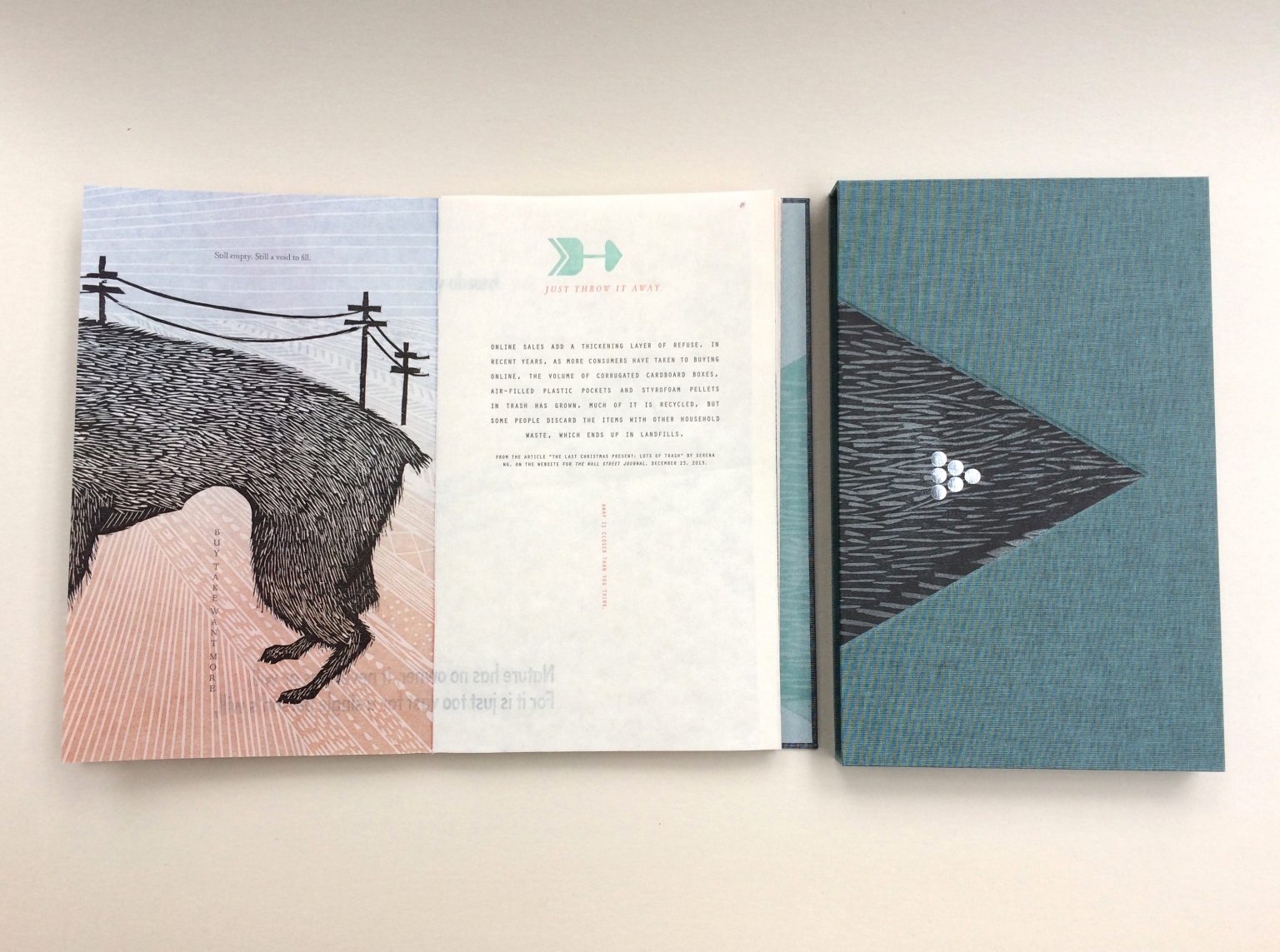 Ellen Knudson, "Intrusion" - The MCBA Prize