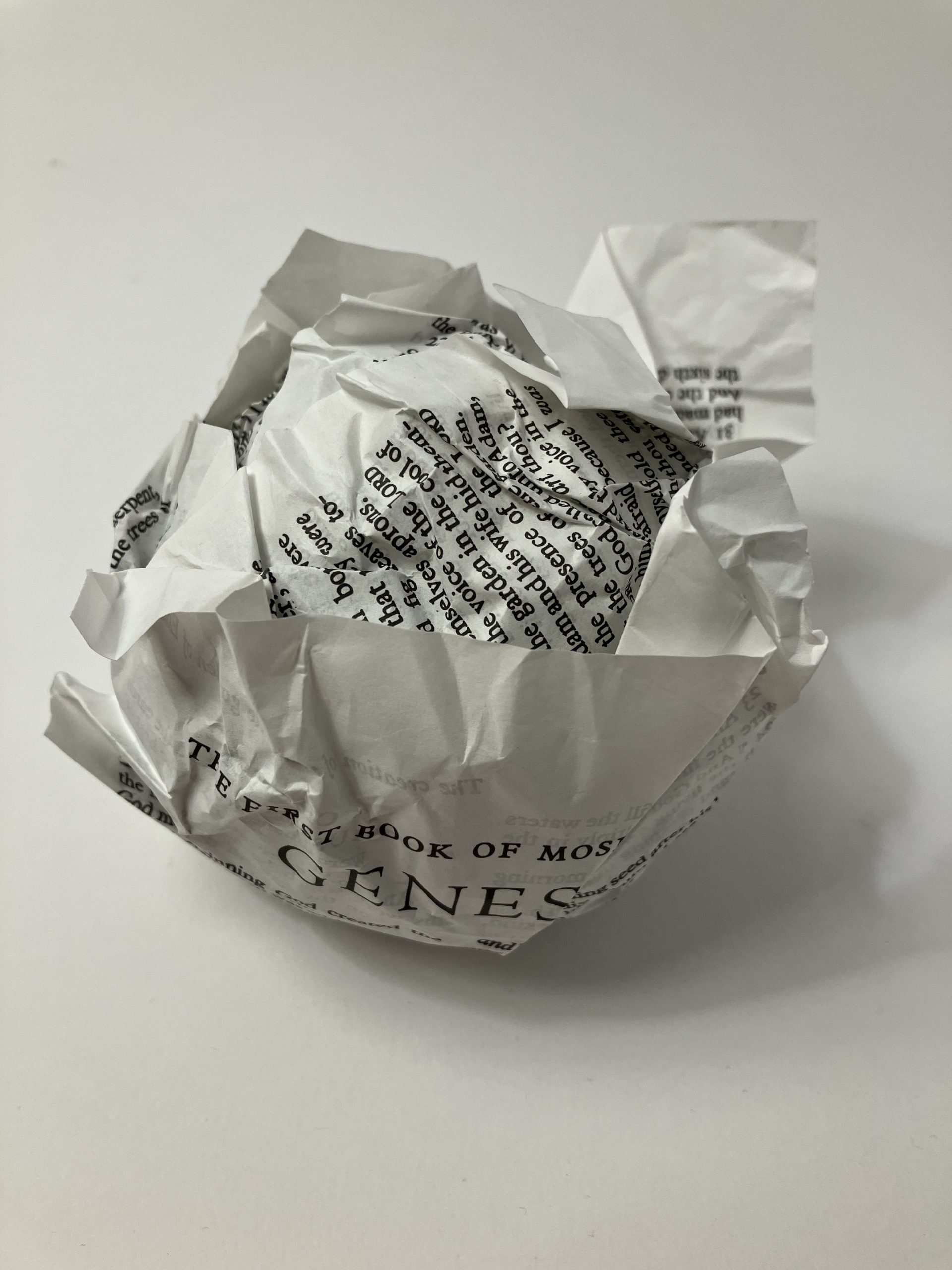 Eîlot Tuerie, "Genesis" - The MCBA Prize